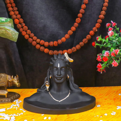 Shivratri Puja Items – satvikstore.in