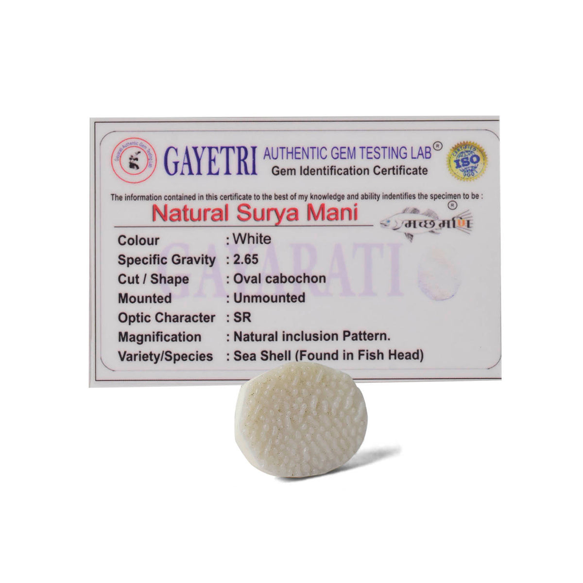 Buy Surya Mani Online – Energize with Divine Solar Power | Satvikstore ...