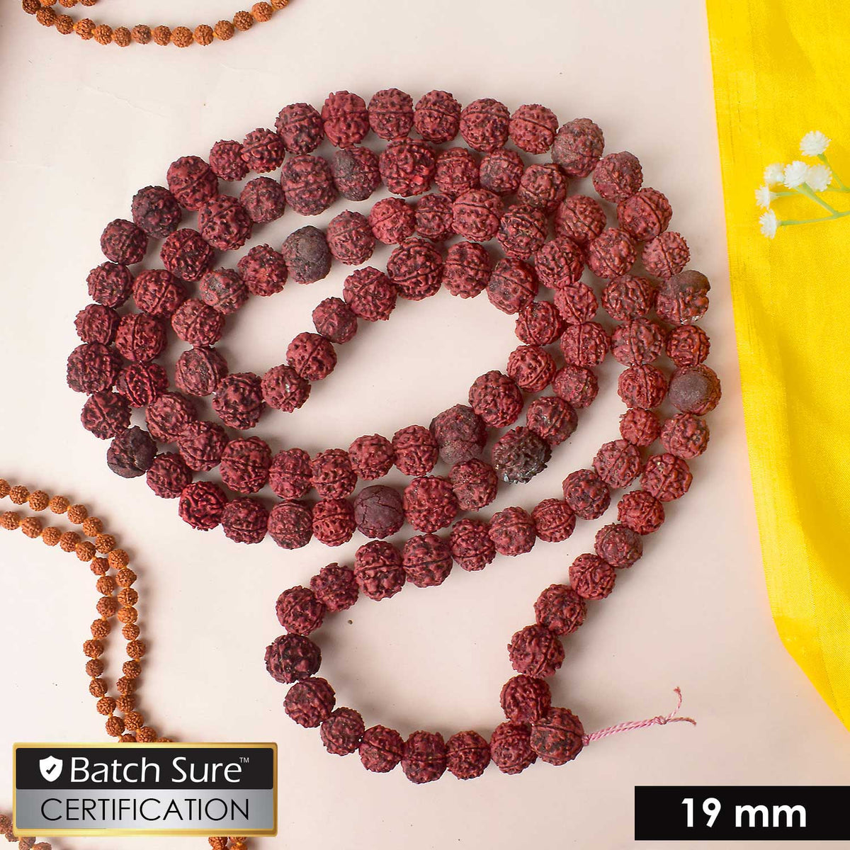 Shop Morangi Aghori Rudraksha Mala | Buy online | Satvikstore.in ...